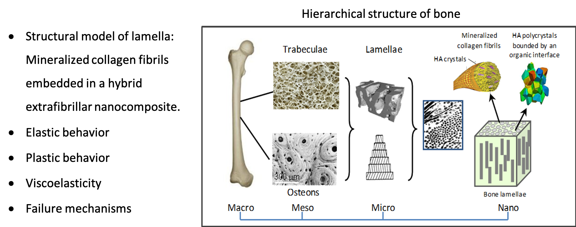 Picture1 - Mechanics of Biological Materials/Structures Lab