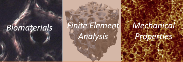 HOME - Mechanics of Biological Materials/Structures Lab